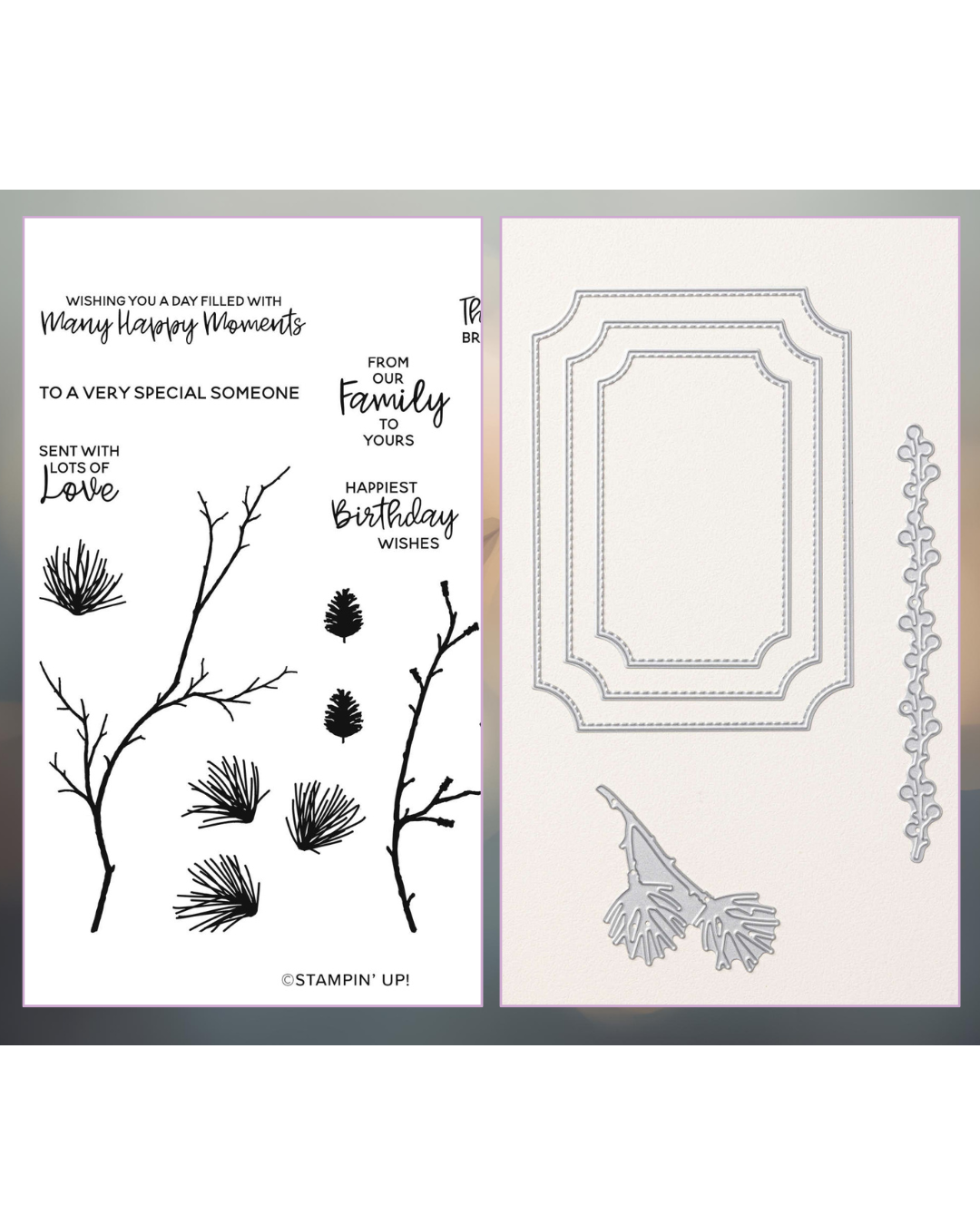 Friday with Fiona - Branching Out Bundle Class To Go! - Stamping with Fiona